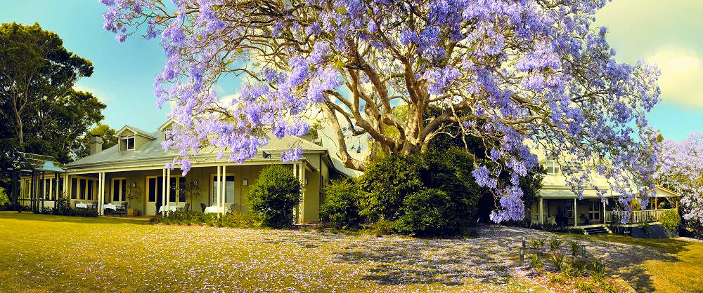 Montville, Australia Hotels and Resorts, Things to See and Do in ...