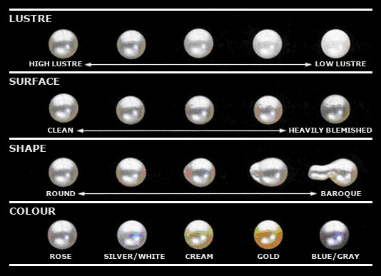 Pearls, Cook Islands - Reviews, Pictures, Map | Visual Itineraries